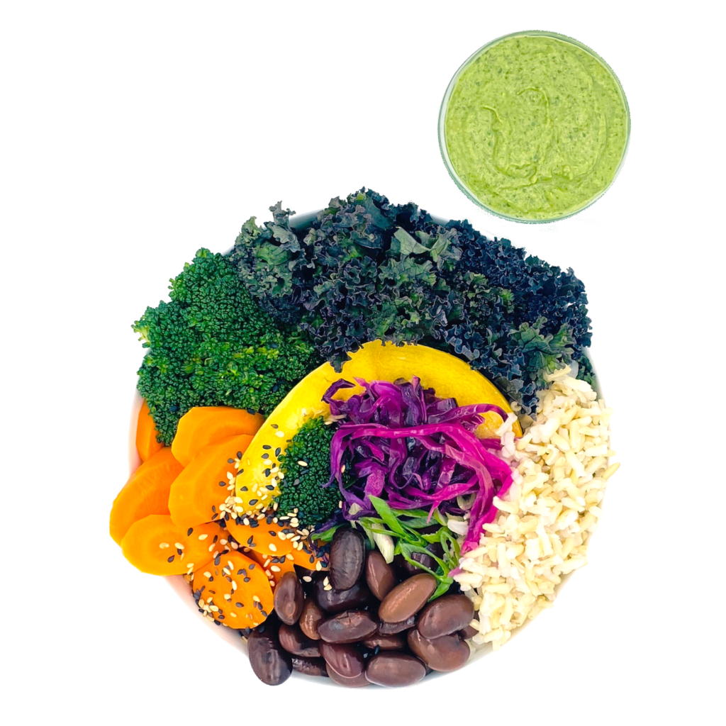 PLATO BALANCEADO DE MACROS - Bioreset Life®